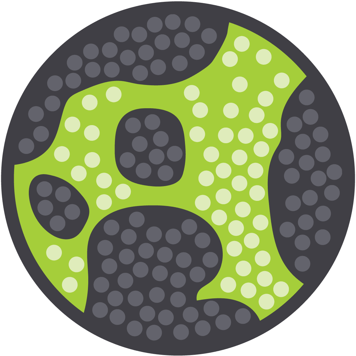 GeoMx DSP Spatial Genomics Overview | NanoString