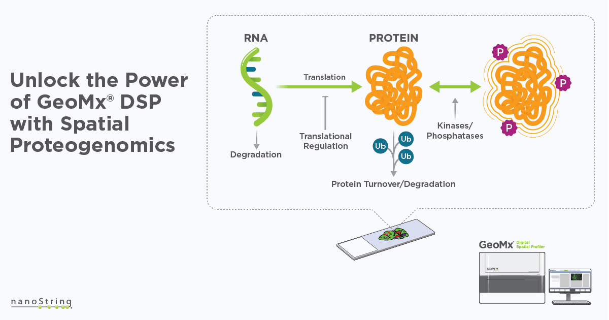 Spatial Proteogenomics | NanoString