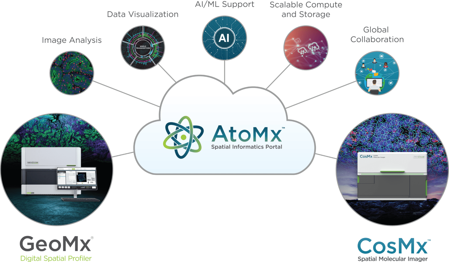 Spatial Multiomics at Any Scale | NanoString
