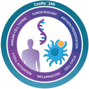 CosMx™ Human Immuno-Oncology Panel