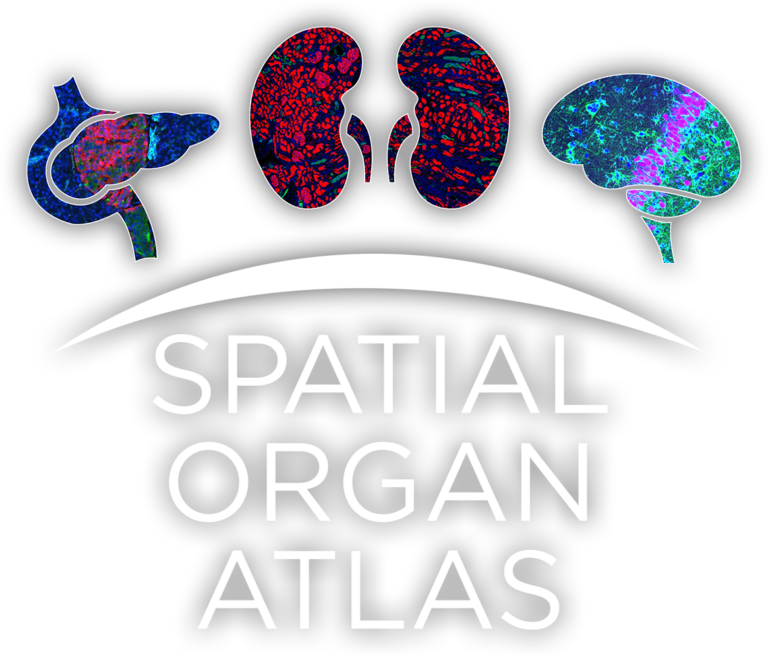 Spatial Organ Atlas | NanoString