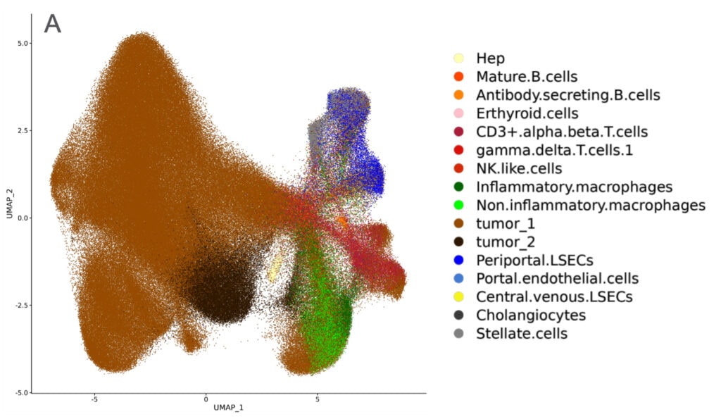 CosMx SMI Human Liver RNA FFPE Dataset | NanoString