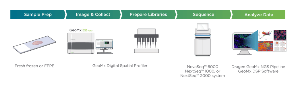 GeoMx Spatial Proteogenomics data now on Illumina BaseSpace