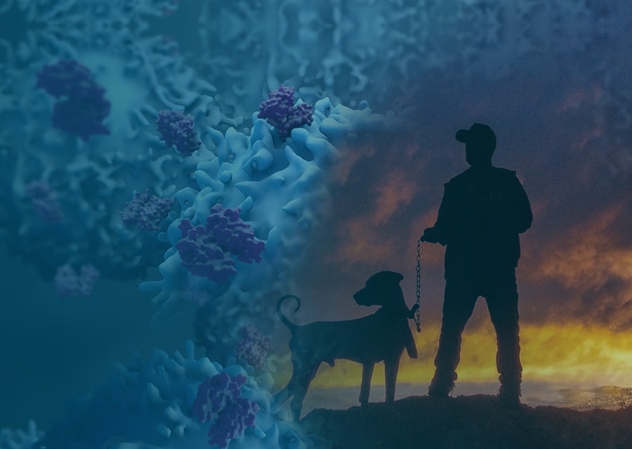 GeoMx™ Canine Cancer Atlas | NanoString