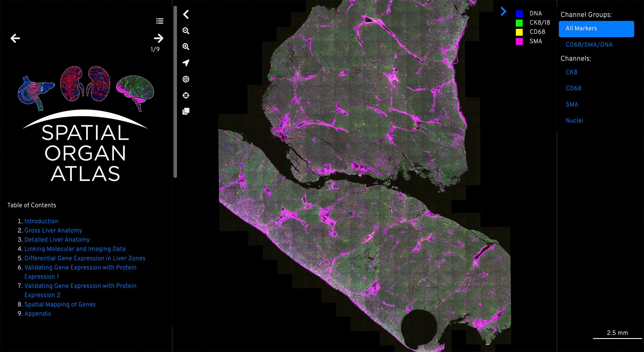 Human Liver | NanoString