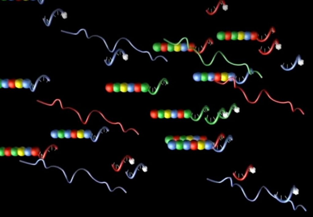 nCounter Archives | NanoString