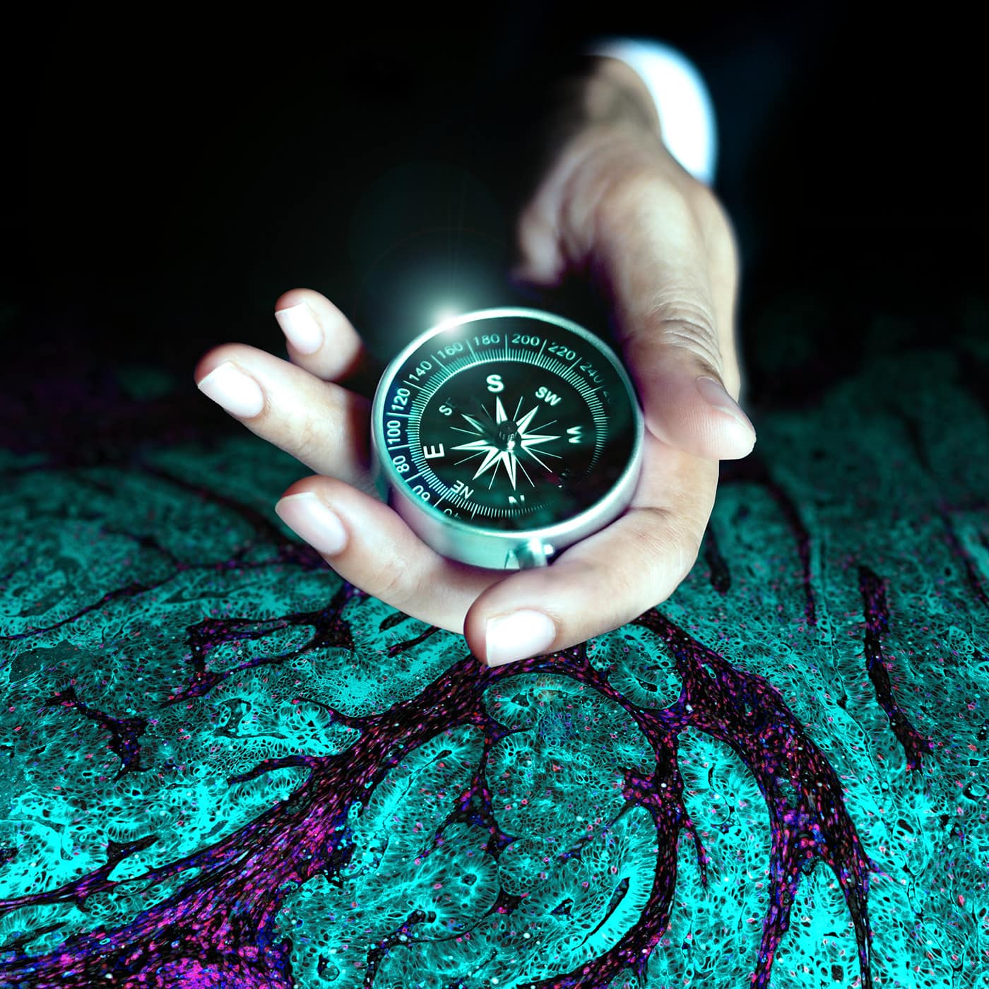 Spatial Navigator Podcast | NanoString