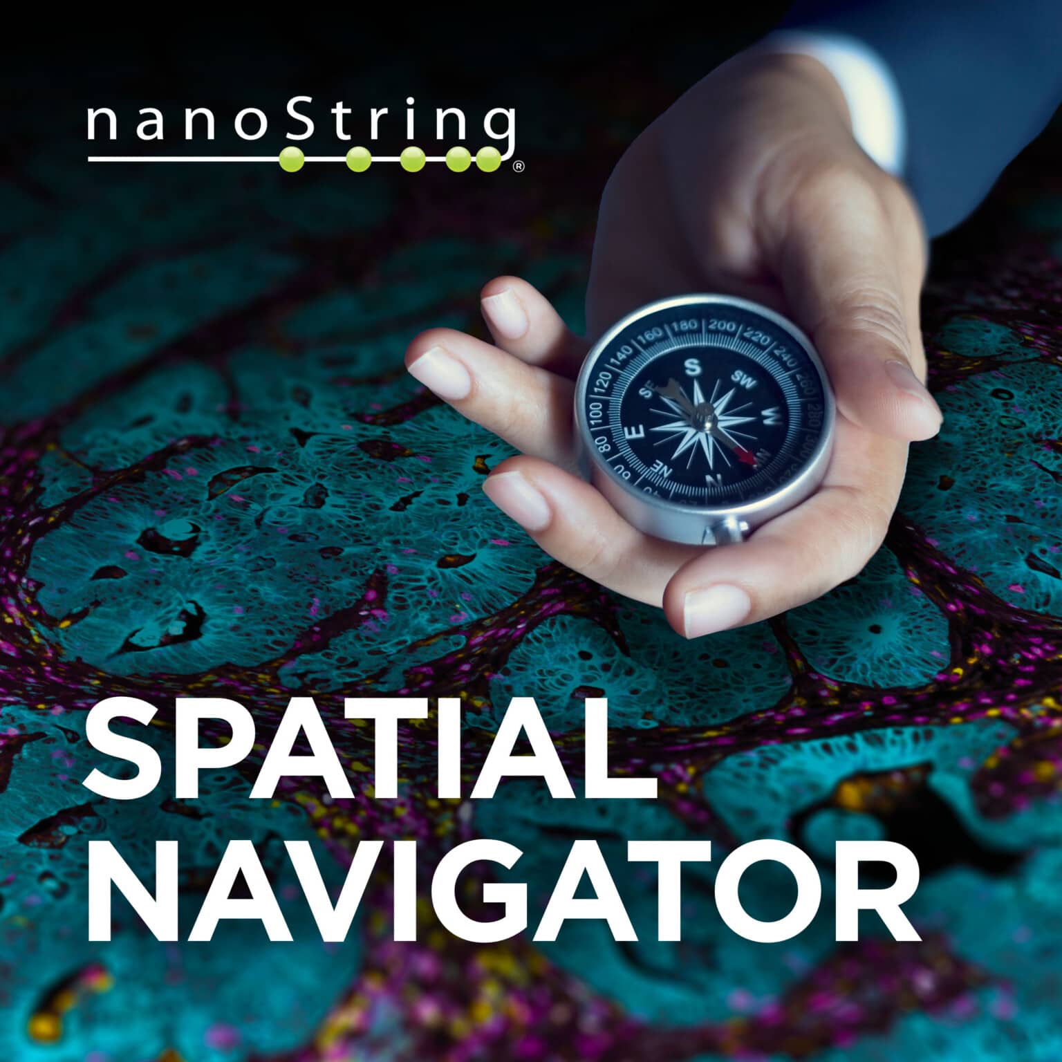 Spatial Navigator Podcast | NanoString