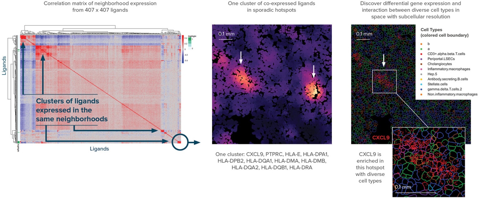 CosMx™ Human 6K Discovery Panel