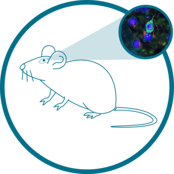 CosMx™ SMI Datasets | NanoString