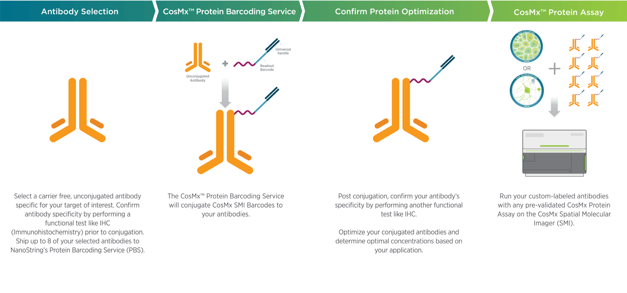 CosMx® Custom Protein Barcoding Service | NanoString