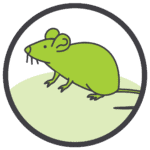 GeoMx DSP Spatial Genomics Overview | NanoString