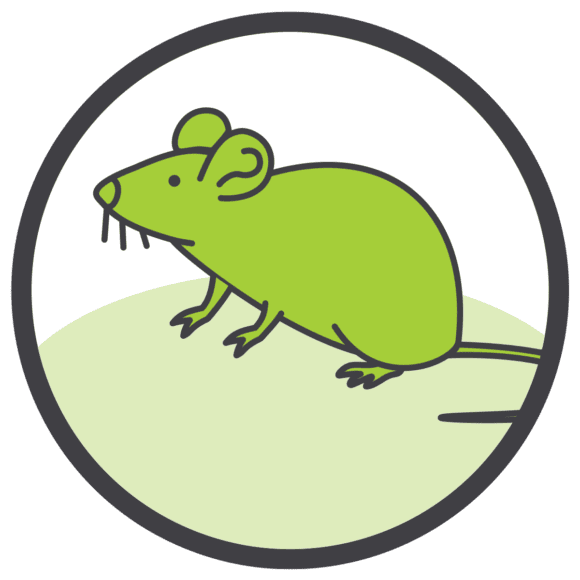 GeoMx DSP Spatial Genomics Overview | NanoString