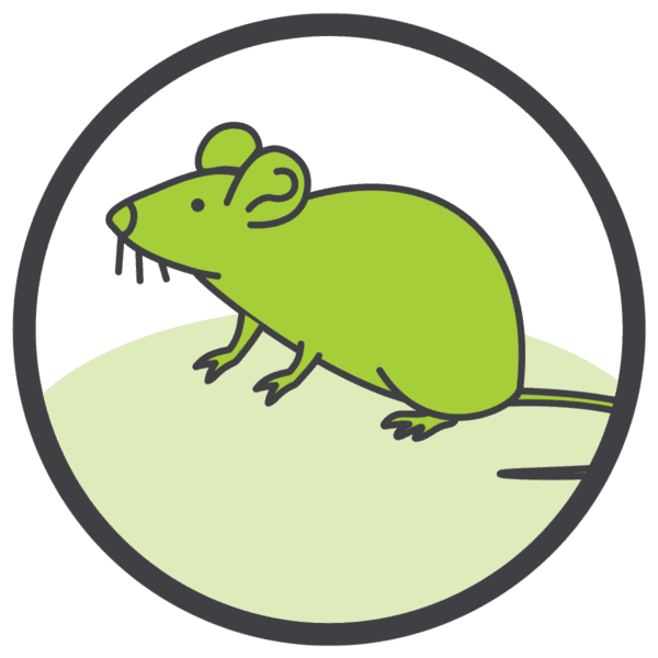 GeoMx DSP Spatial Genomics Overview | NanoString