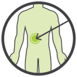 GeoMx DSP Spatial Genomics Overview | NanoString