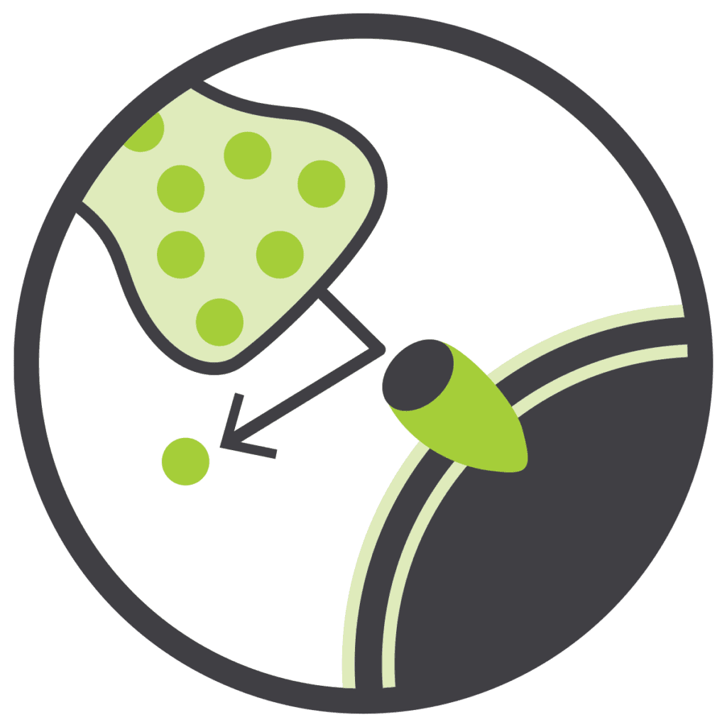 GeoMx DSP Spatial Genomics Overview | NanoString