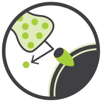 GeoMx DSP Spatial Genomics Overview | NanoString