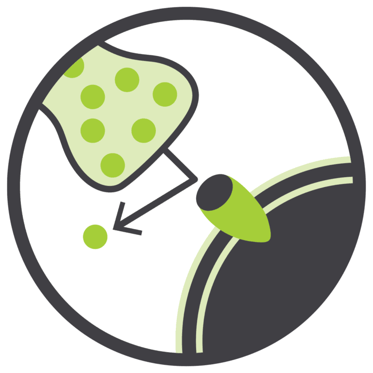 GeoMx DSP Spatial Genomics Overview | NanoString