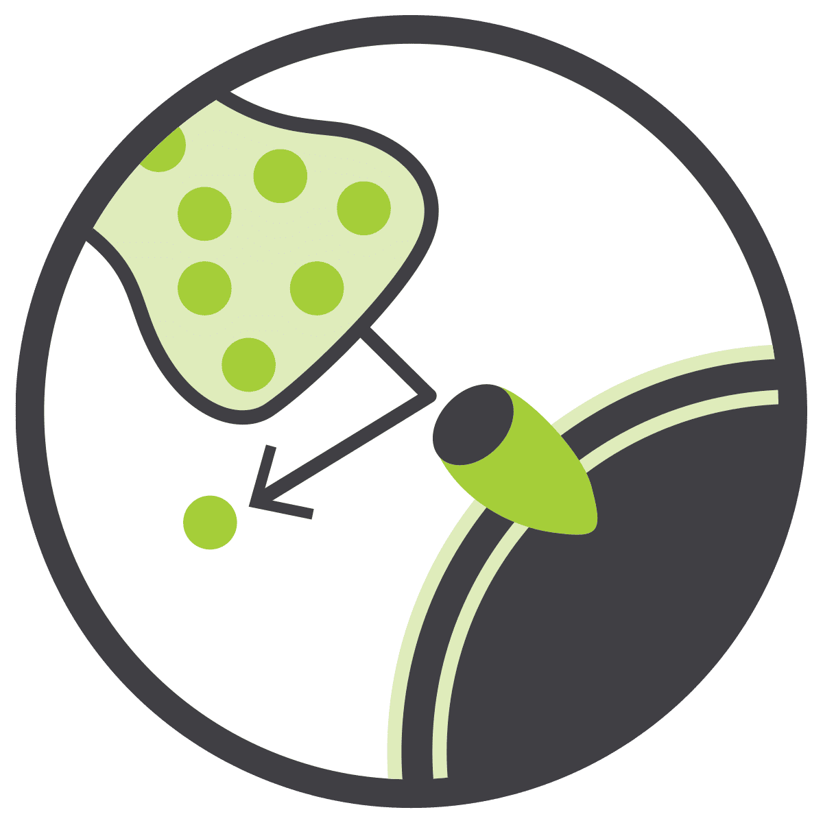 GeoMx DSP Spatial Genomics Overview | NanoString