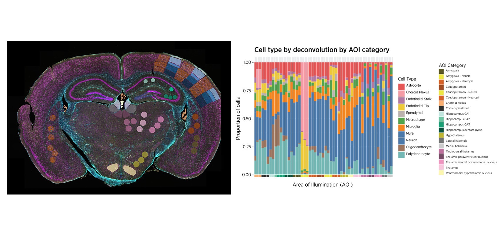 GeoMx DSP Spatial Genomics Overview | NanoString GeoMx DSP Spatial Genomics Overview | NanoString