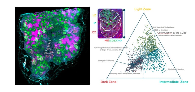 GeoMx DSP Spatial Genomics Overview | NanoString