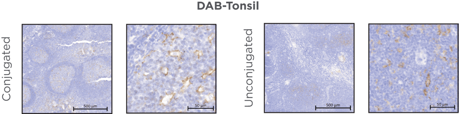 Geomx® Immuno Oncology Protein Panels Nanostring