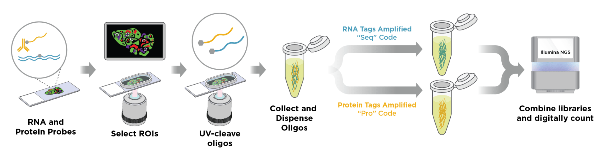 Spatial Multiomics Enabled with GeoMx DSP | NanoString Spatial Multiomics Enabled with GeoMx DSP | NanoString