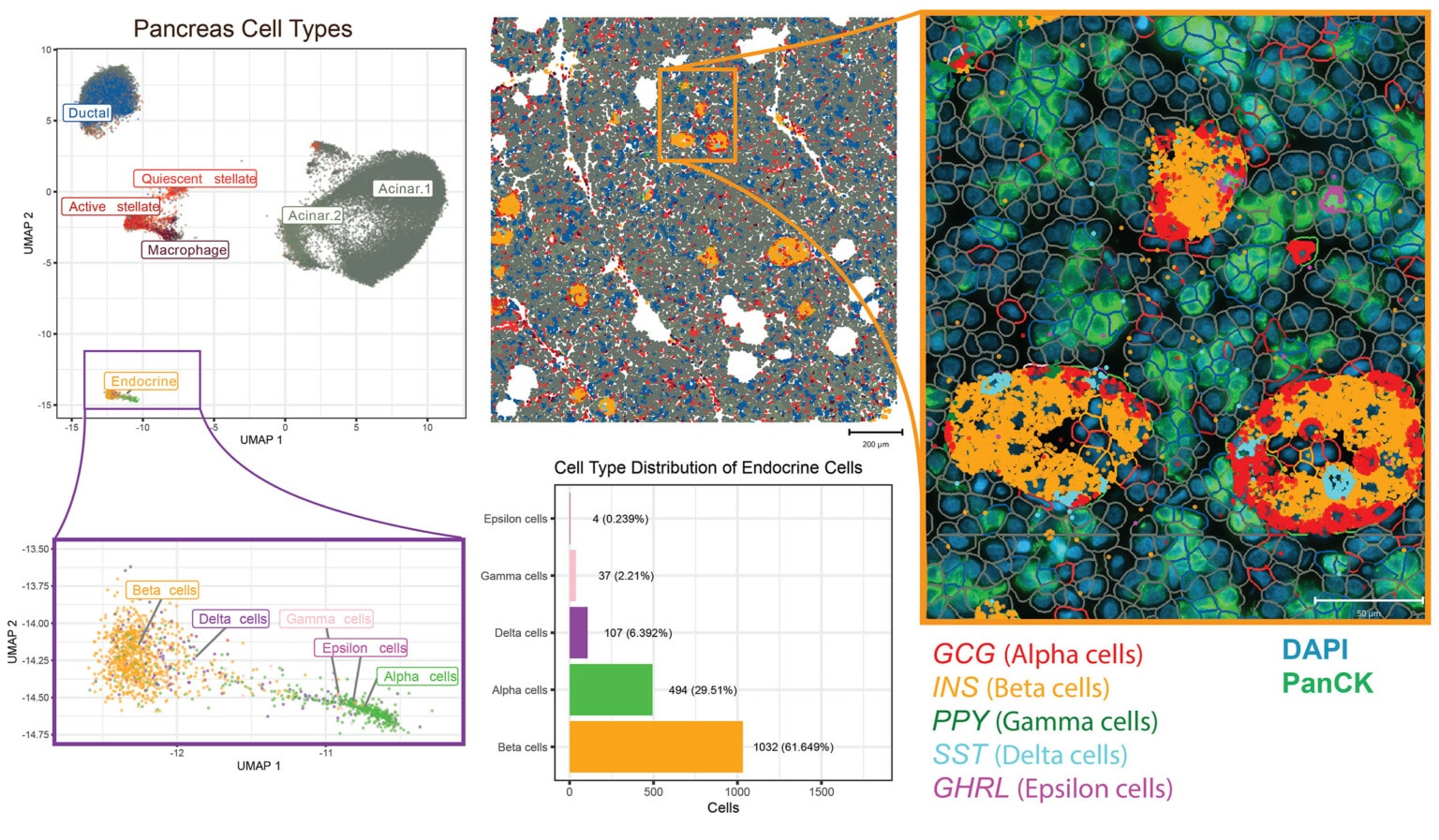 CosMx Human Whole Transcriptome Panel