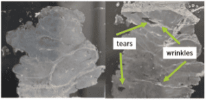 3 Tips for Successful CosMx Single-cell Spatial Runs at 1000 plex