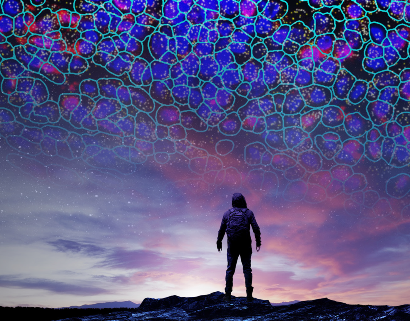 Pioneering Spatial Transcriptomics: Exploring Single-Cell Imaging with ... Pioneering Spatial Transcriptomics: Exploring Single-Cell Imaging with ...