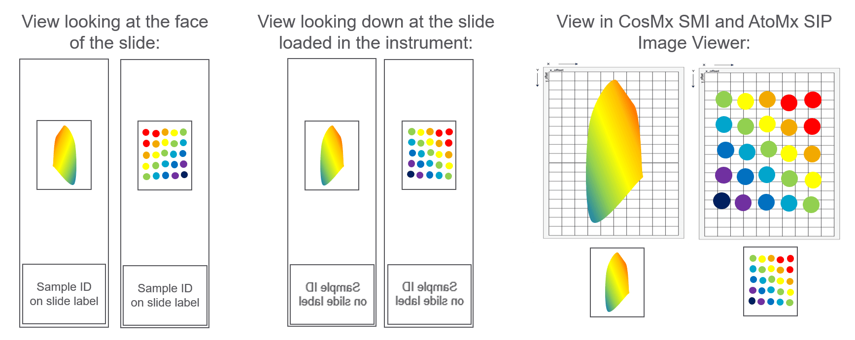 CosMxKB | NanoString