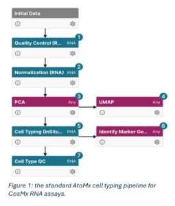 Tips for Successful CosMx Single-cell Spatial Runs at 1000 plex