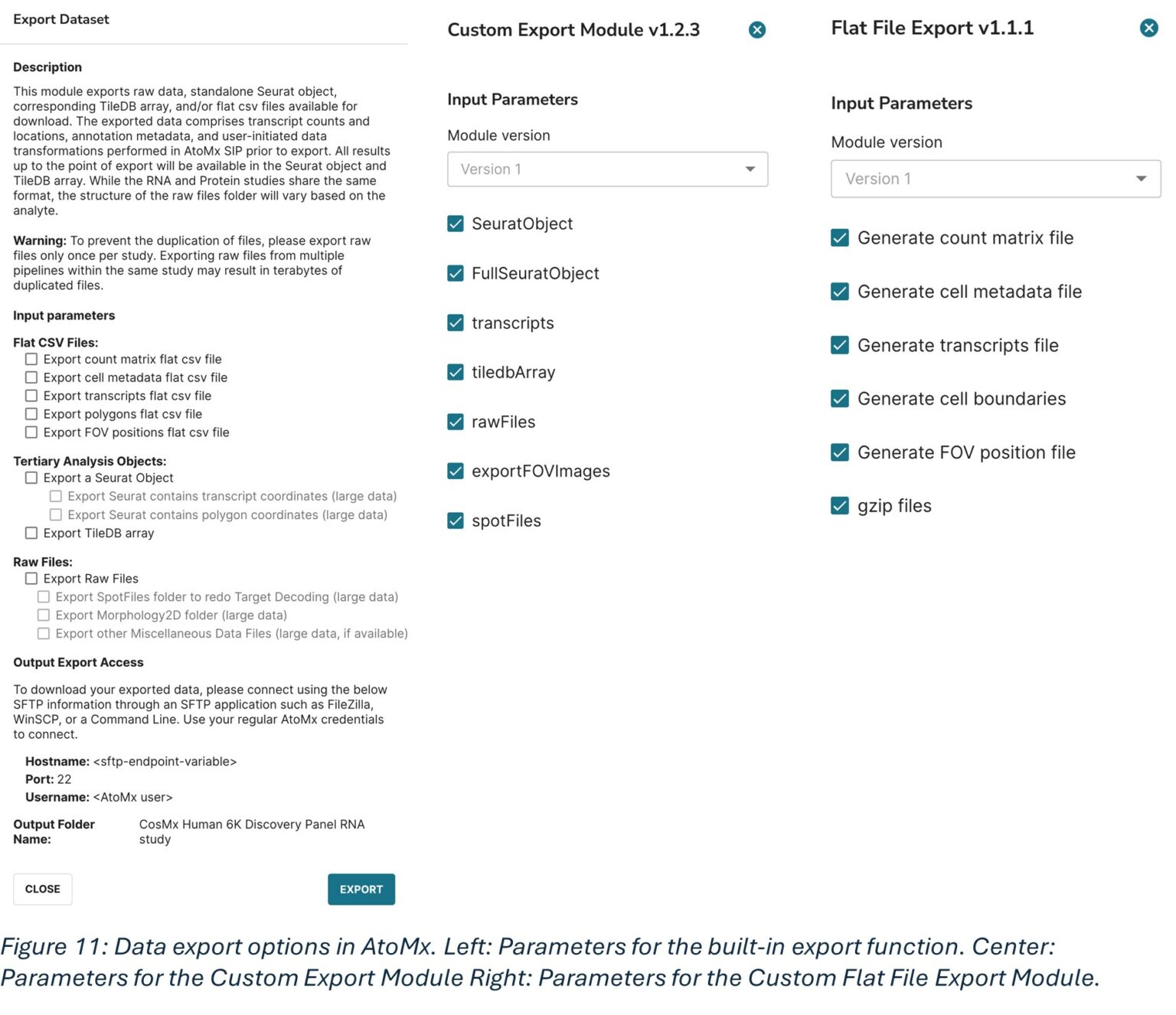 Tips for Successful CosMx Single-cell Spatial Runs at 1000 plex
