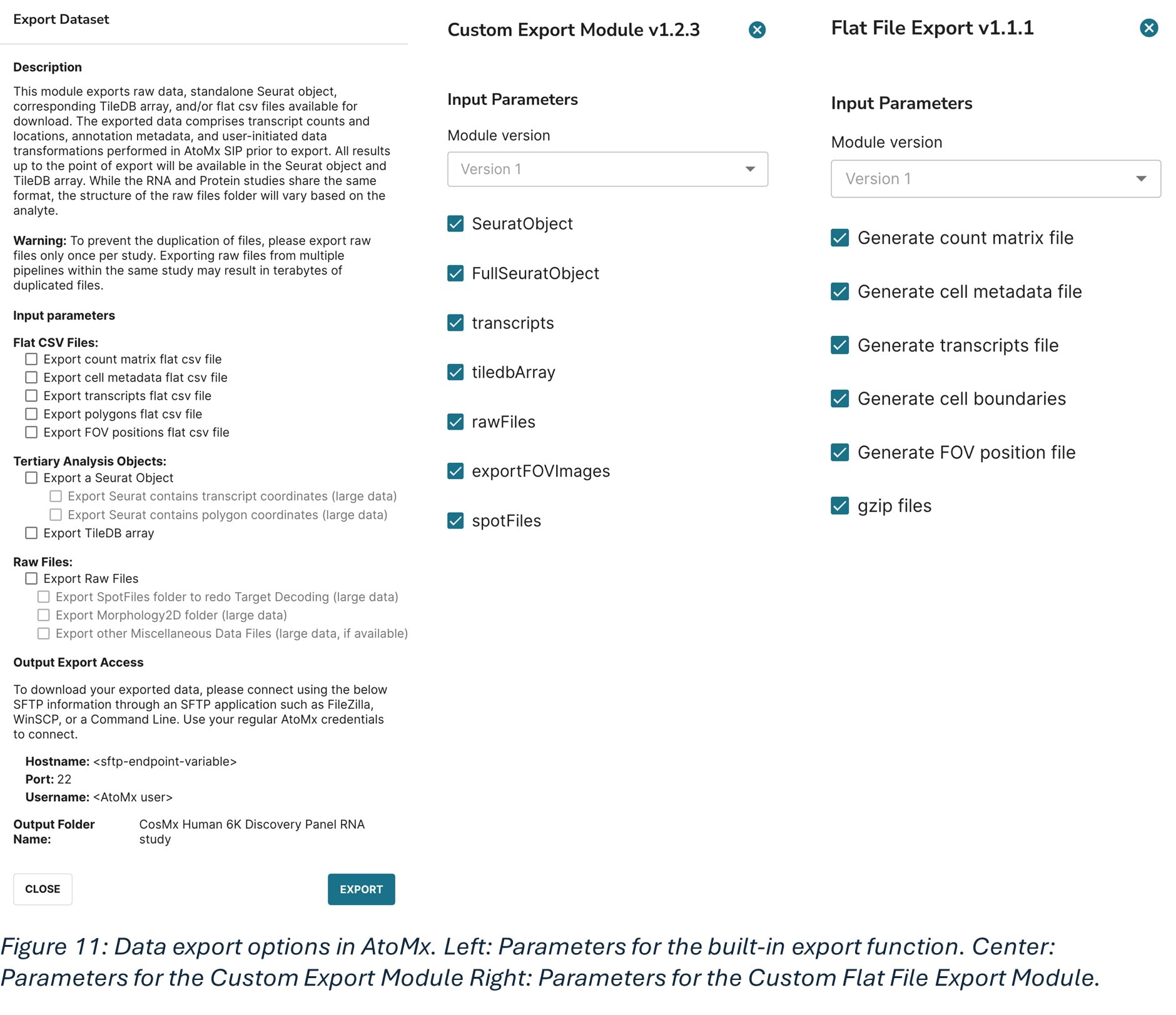 Tips for Successful CosMx Single-cell Spatial Runs at 1000 plex