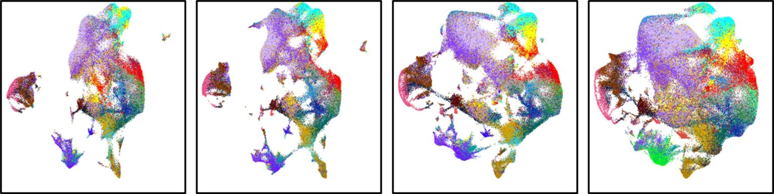 Tips for Successful CosMx Single-cell Spatial Runs at 1000 plex