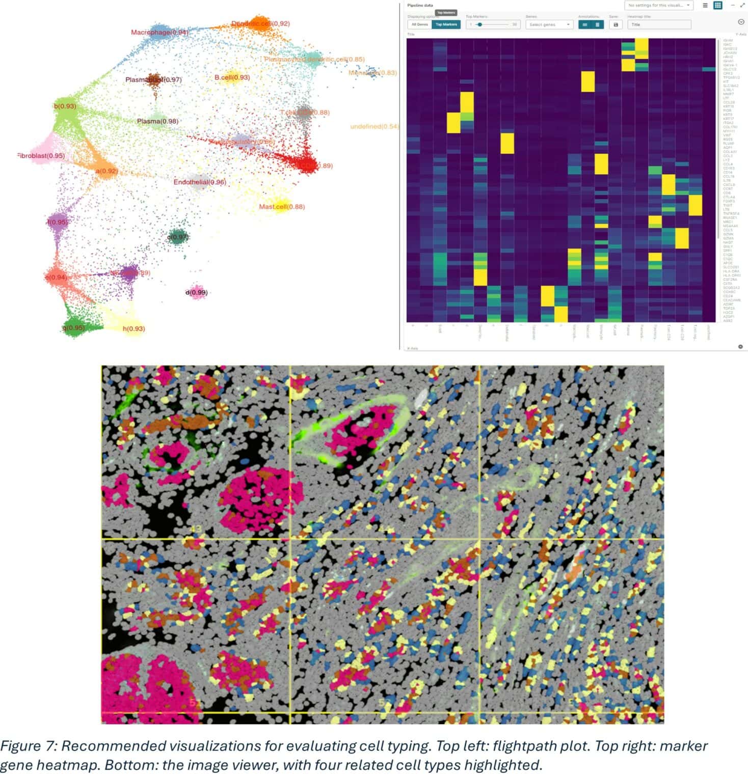 Tips for Successful CosMx Single-cell Spatial Runs at 1000 plex