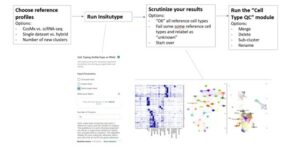 Tips for Successful CosMx Single-cell Spatial Runs at 1000 plex