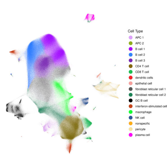 CosMx Human Lymph Node FFPE Dataset | NanoString CosMx Human Lymph Node FFPE Dataset | NanoString