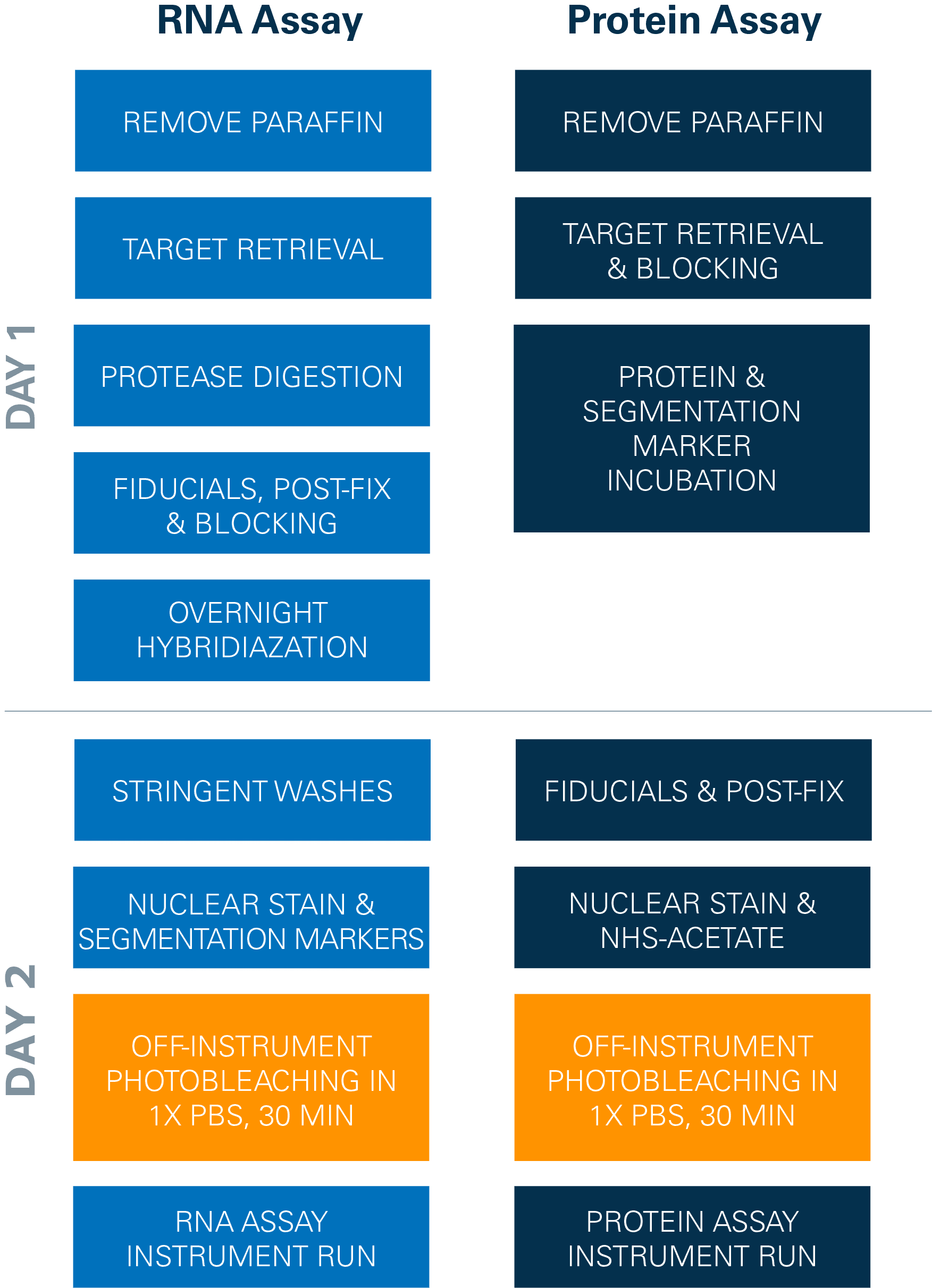 Tips to optimize sample prep for highly autofluorescent samples on ...