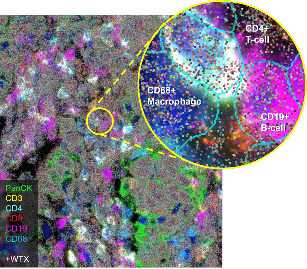 CosMx® Same-Cell Multiomics | NanoString