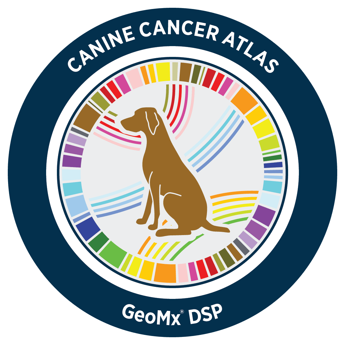 GeoMx™ Canine Cancer Atlas | NanoString