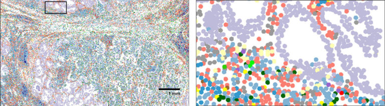 CosMx SMI Overview - Single-Cell Imaging - NanoString