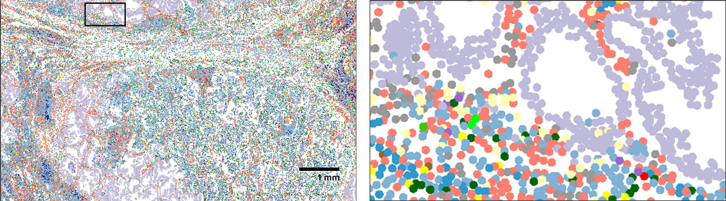 CosMx SMI Overview - Single-Cell Imaging - NanoString