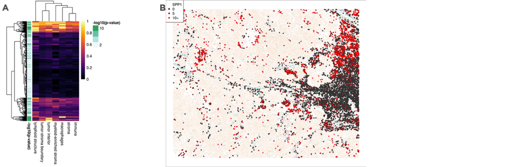 CosMx SMI FFPE Dataset - NanoString
