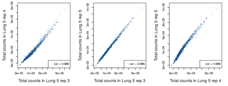 CosMx SMI FFPE Dataset - NanoString