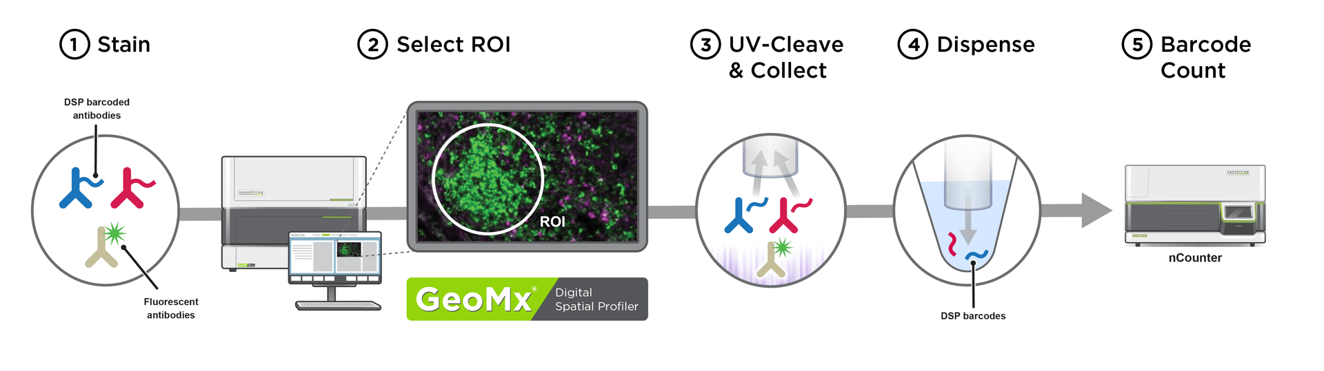 Abcam Partnership - NanoString