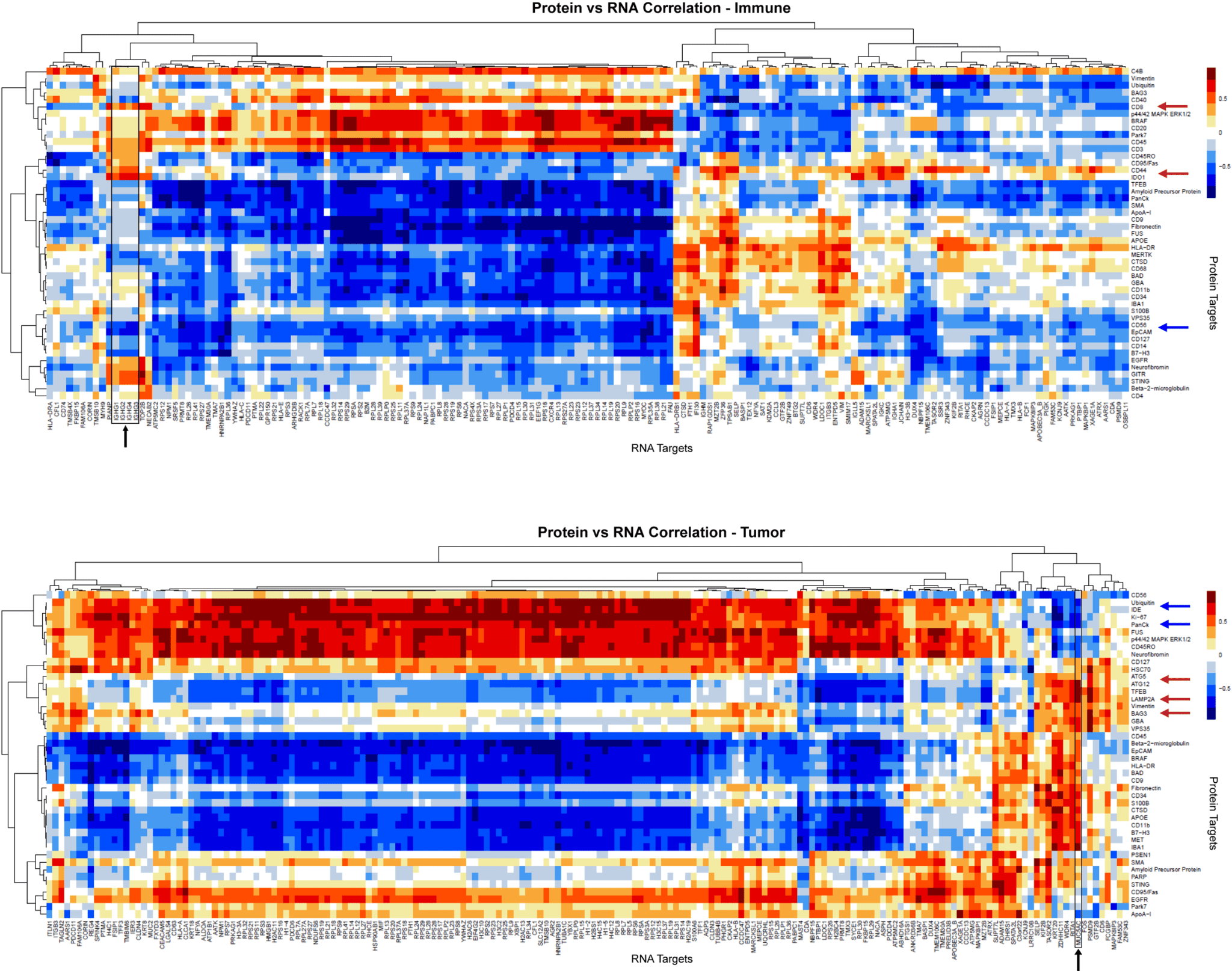 Spatial Proteogenomics | NanoString