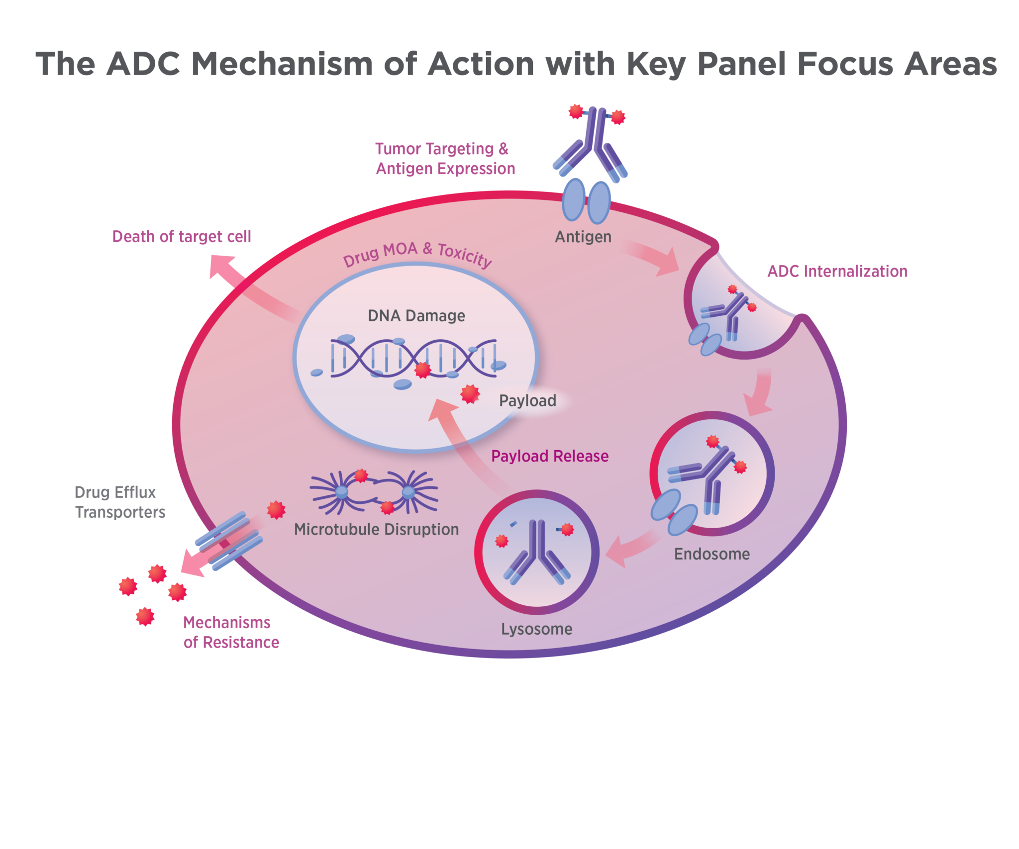 nCounter® ADC Development Panel - NanoString