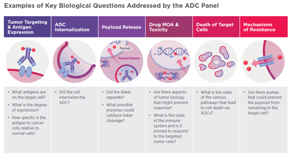 nCounter® ADC Development Panel - NanoString