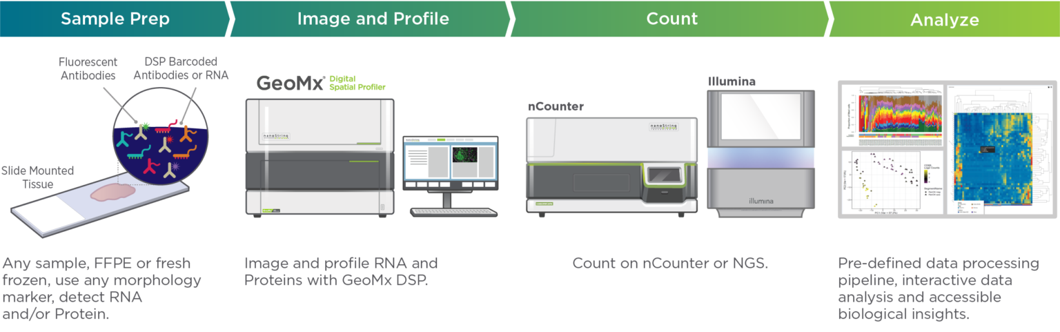 Your First GeoMx® DSP Experiment: A Step-by-Step Guide